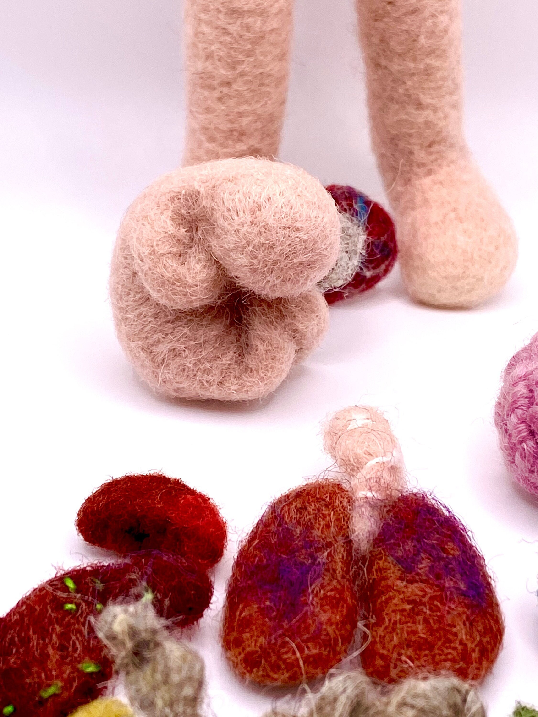 Anatomy Doll, Human Anatomy Art, Art Doll, Medical Doll, Pretend ...