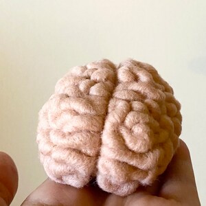 Wool Brain Sculpture - Anatomy Art - Needle Felted (human Brain ...