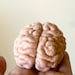 Wool Brain Sculpture - Anatomy Art - Needle Felted (human Brain ...