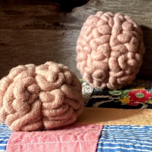 Wool Brain Sculpture - Anatomy Art - Needle Felted (human Brain ...