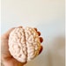 Wool Brain Sculpture - Anatomy Art - Needle Felted (human Brain ...