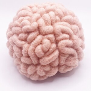 Wool Brain Sculpture - Anatomy Art - Needle Felted (human Brain ...