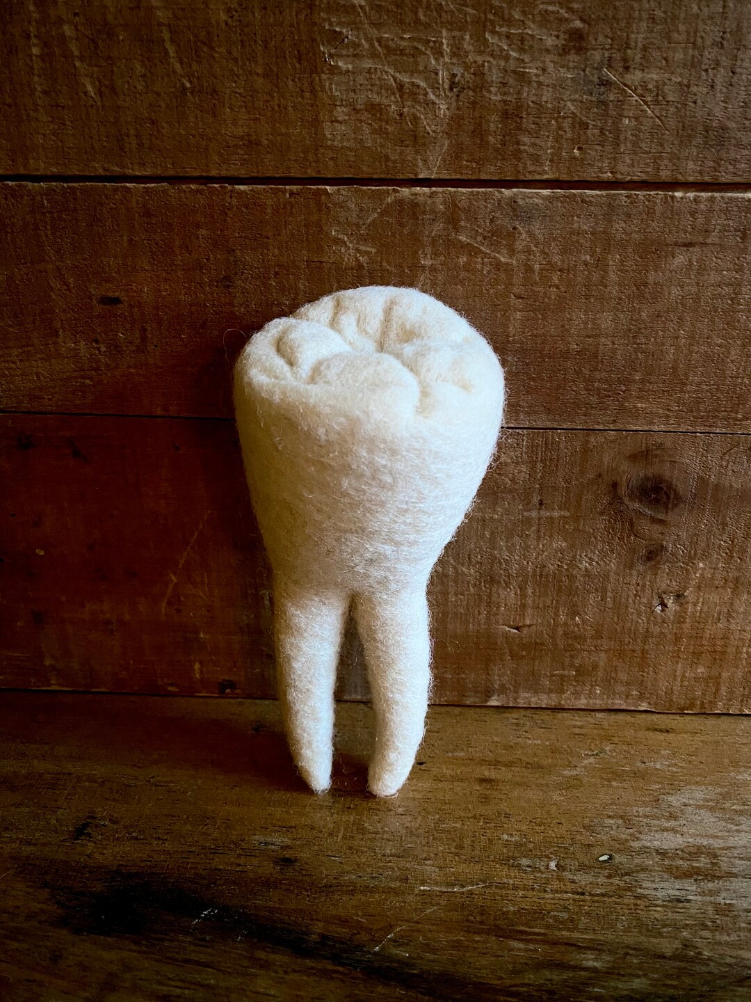 Giant Tooth, Tooth Sculpture, Anatomy Art, Dentist, Wool, Needle ...