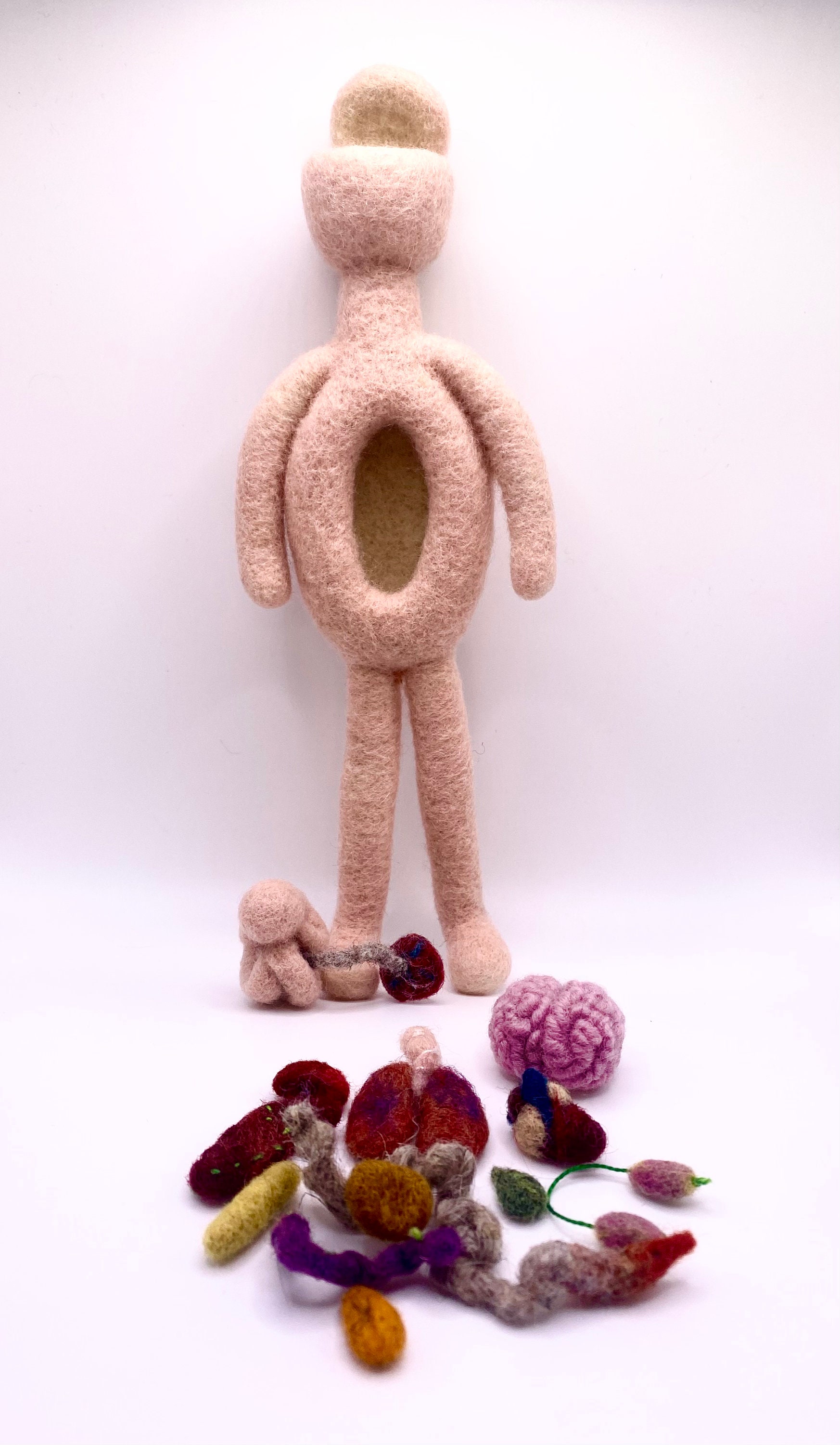Anatomy Doll, Human Anatomy Art, Art Doll, Medical Doll, Pretend ...