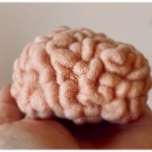 Wool Brain Sculpture - Anatomy Art - Needle Felted (human Brain ...