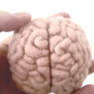 Wool Brain Sculpture - Anatomy Art - Needle Felted (human Brain ...