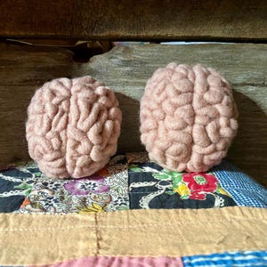 Wool Brain Sculpture - Anatomy Art - Needle Felted (human Brain ...