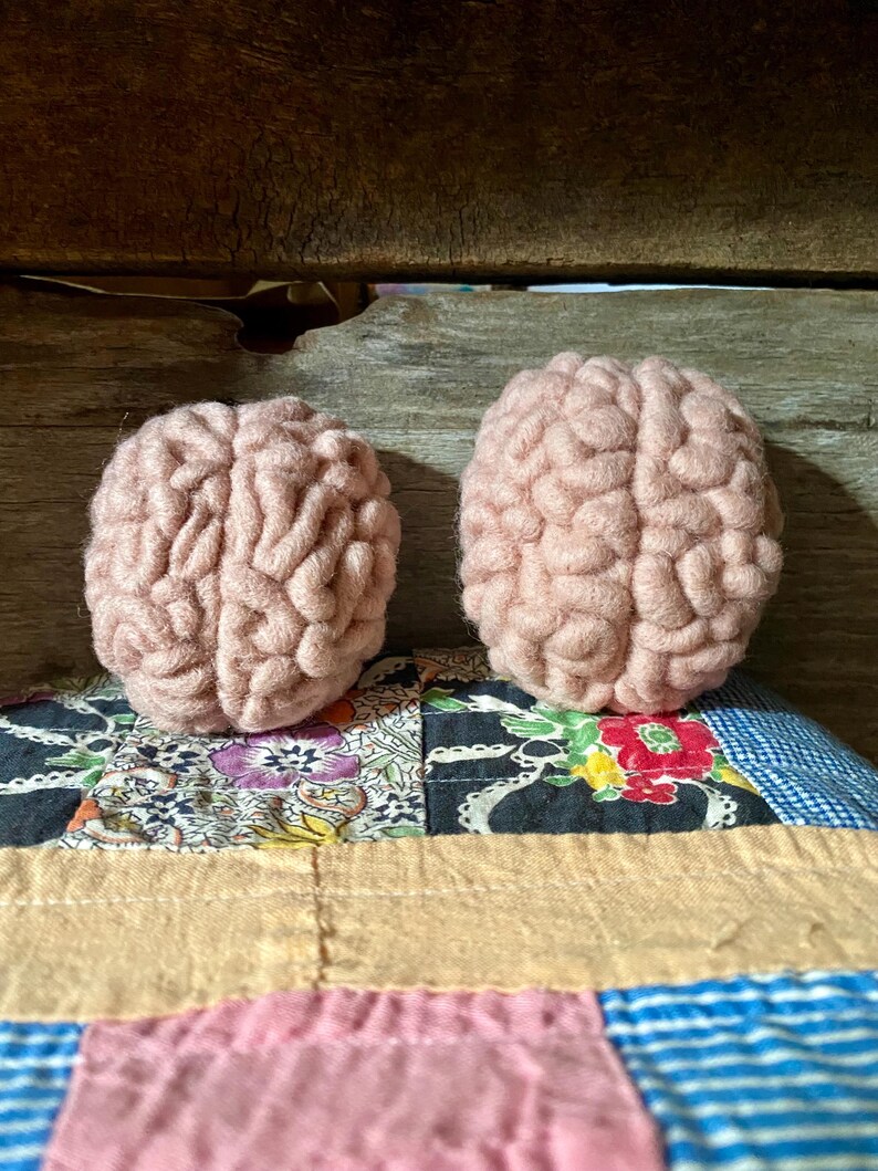 Wool Brain Sculpture - Anatomy Art - Needle Felted (human Brain ...