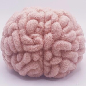 Wool Brain Sculpture - Anatomy Art - Needle Felted (human Brain ...