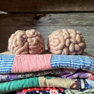 Wool Brain Sculpture - Anatomy Art - Needle Felted (human Brain ...