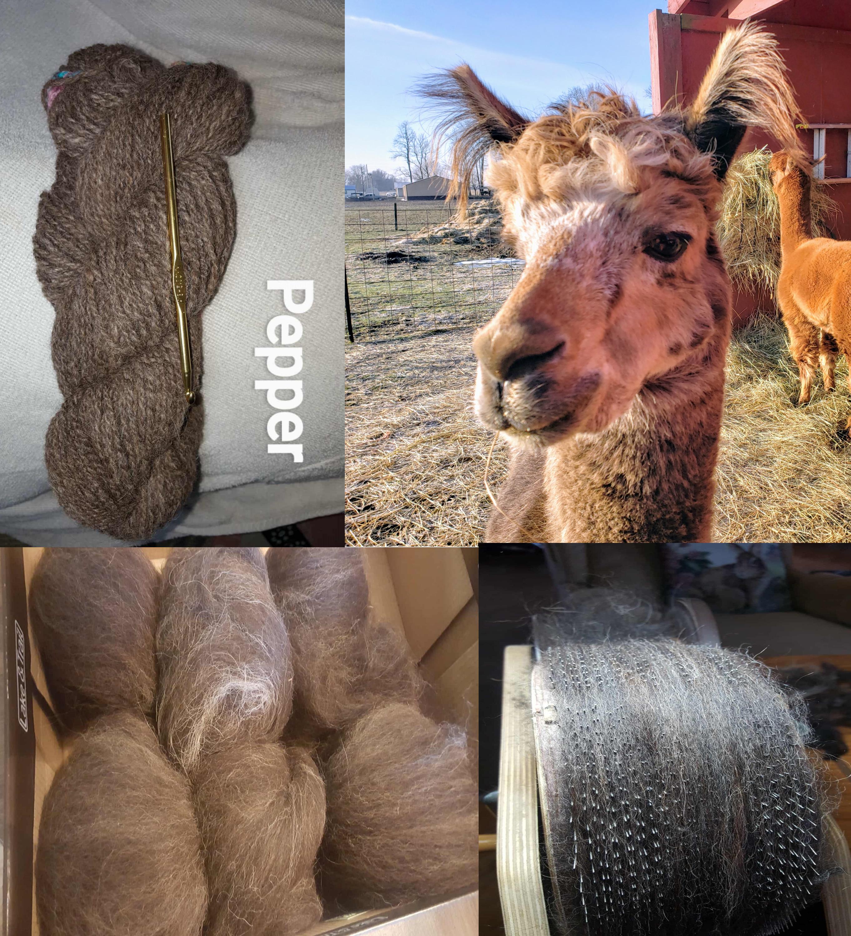 Alpaca Rovings in Multiple Colors, 1oz., 100% Alpaca – Triple Carded ...