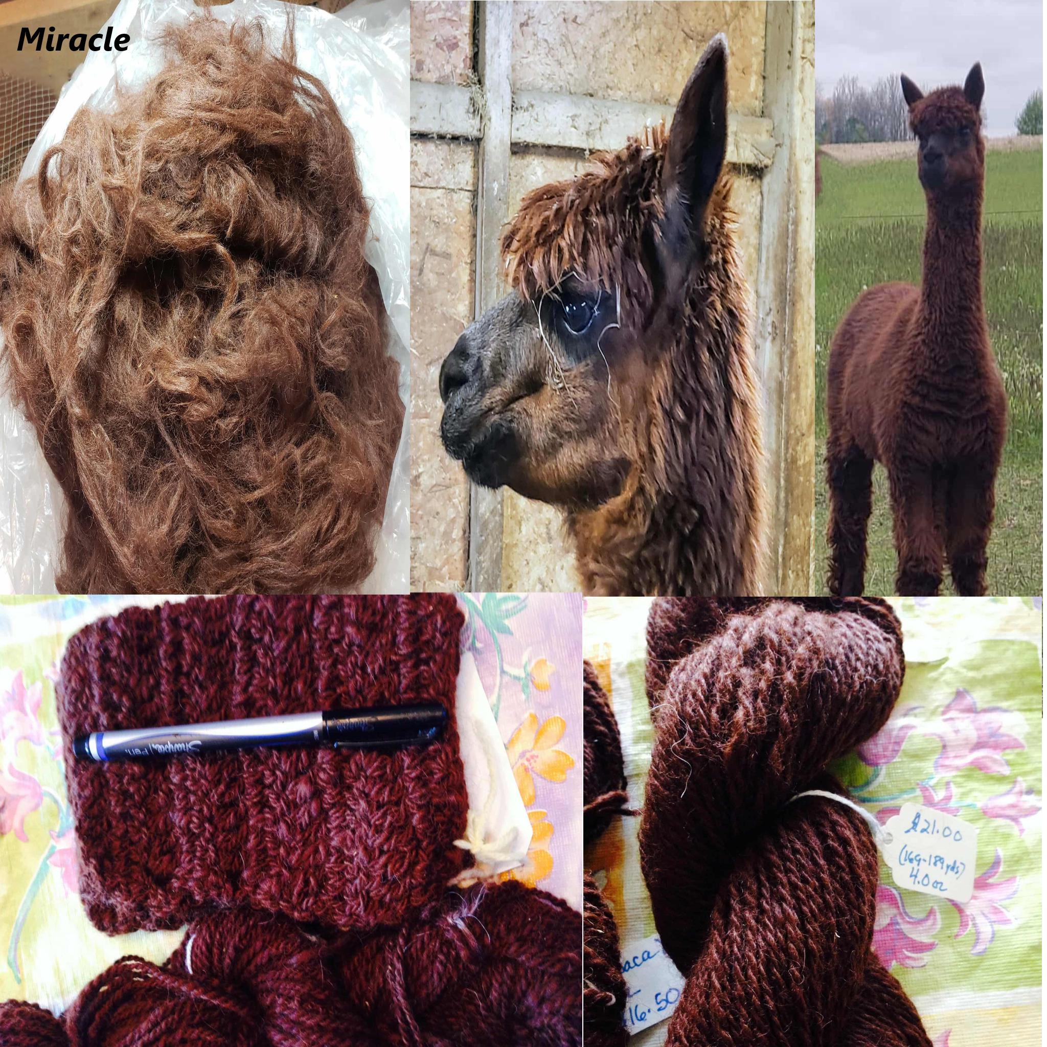 1oz + 100 % Alpaca Rovings in Multiple Colors – Triple Carded Fiber for ...