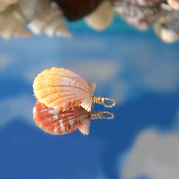 Sunrise Shell Necklace - Etsy