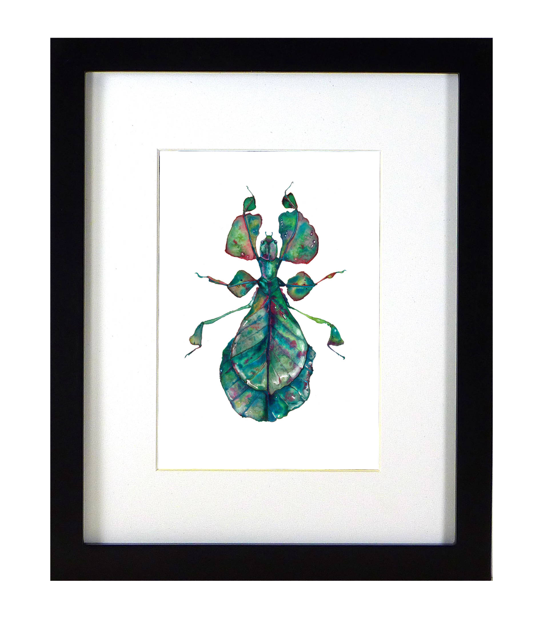 Framed insect paintings and art prints — Otterwell Studio