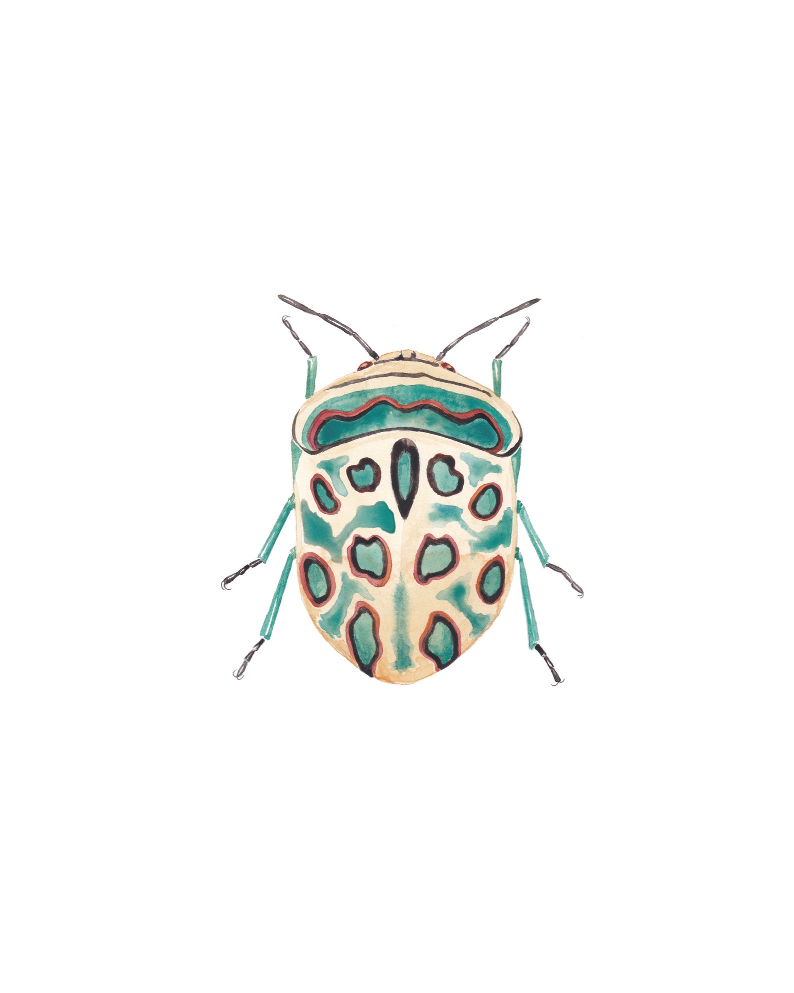 Picasso Bug Watercolor - Etsy