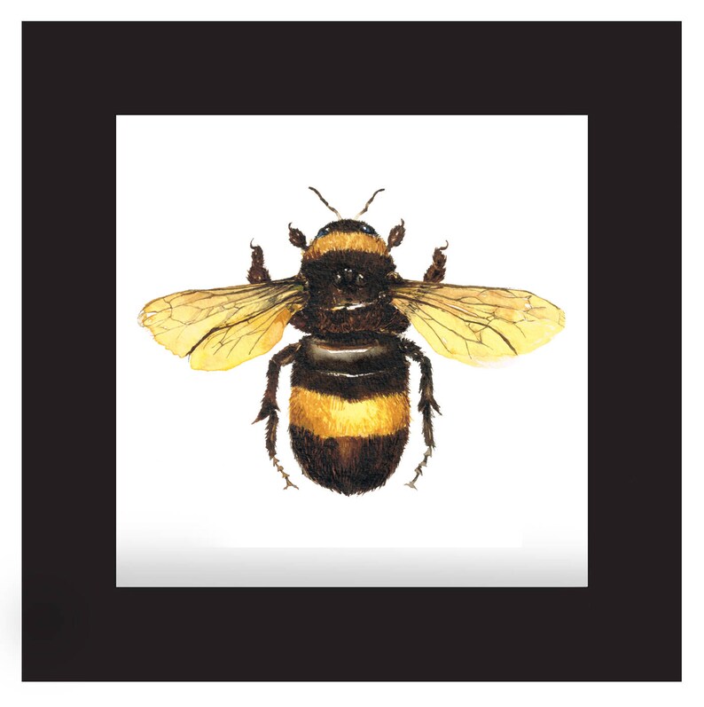 Bumblebee Painting Mounted Bee Print Framed Bumblebee - Etsy Canada