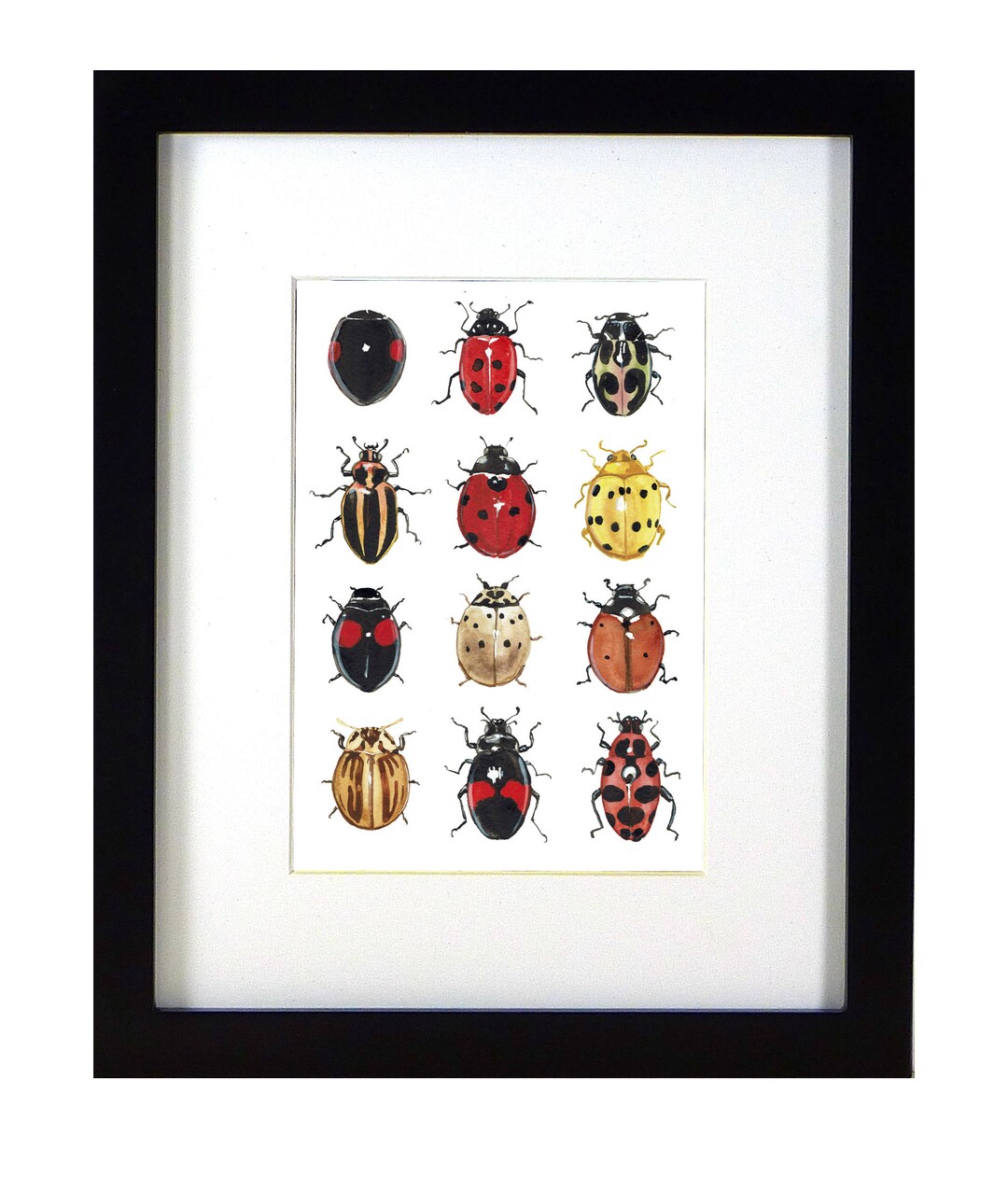 Lady Beetle Family Watercolor Print, Mounted Ladybug Art, Framed ...