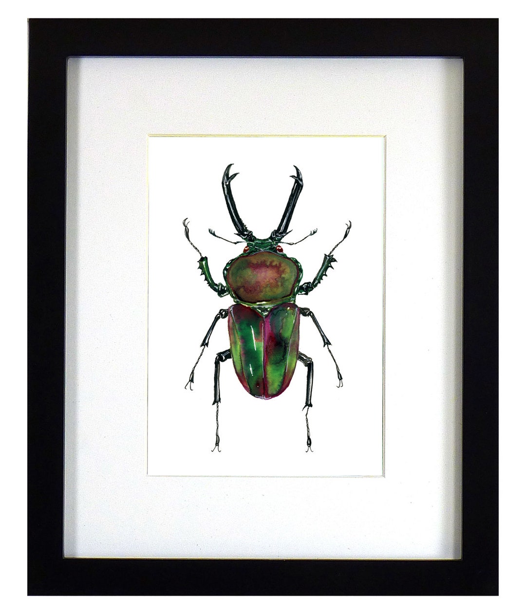 Rainbow Stag Beetle Watercolor Painting, Framed Rainbow Stag Beetle Art ...