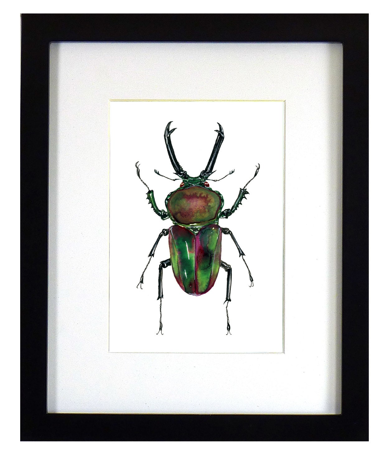 Rainbow Stag Beetle Watercolor Painting, Framed Rainbow Stag Beetle Art ...