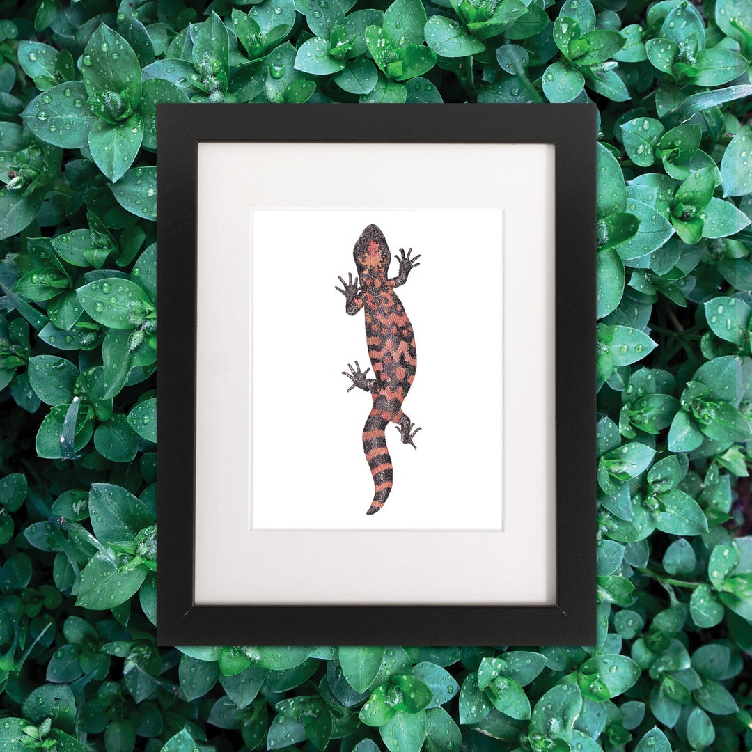 Gila Monster Mounted Watercolor Painting, Framed Gila Monster Painting ...