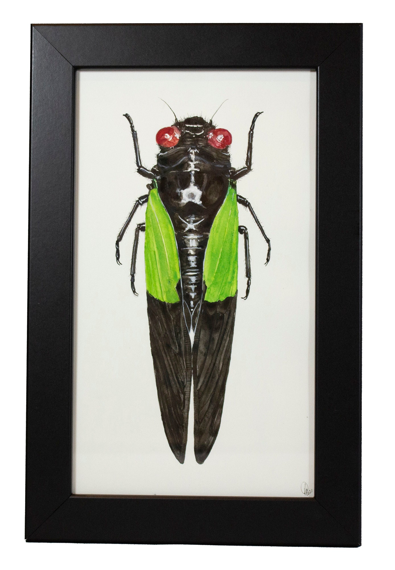 Framed insect paintings and art prints — Otterwell Studio