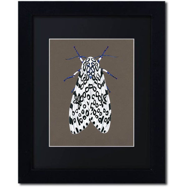 Leopard Moth - Etsy