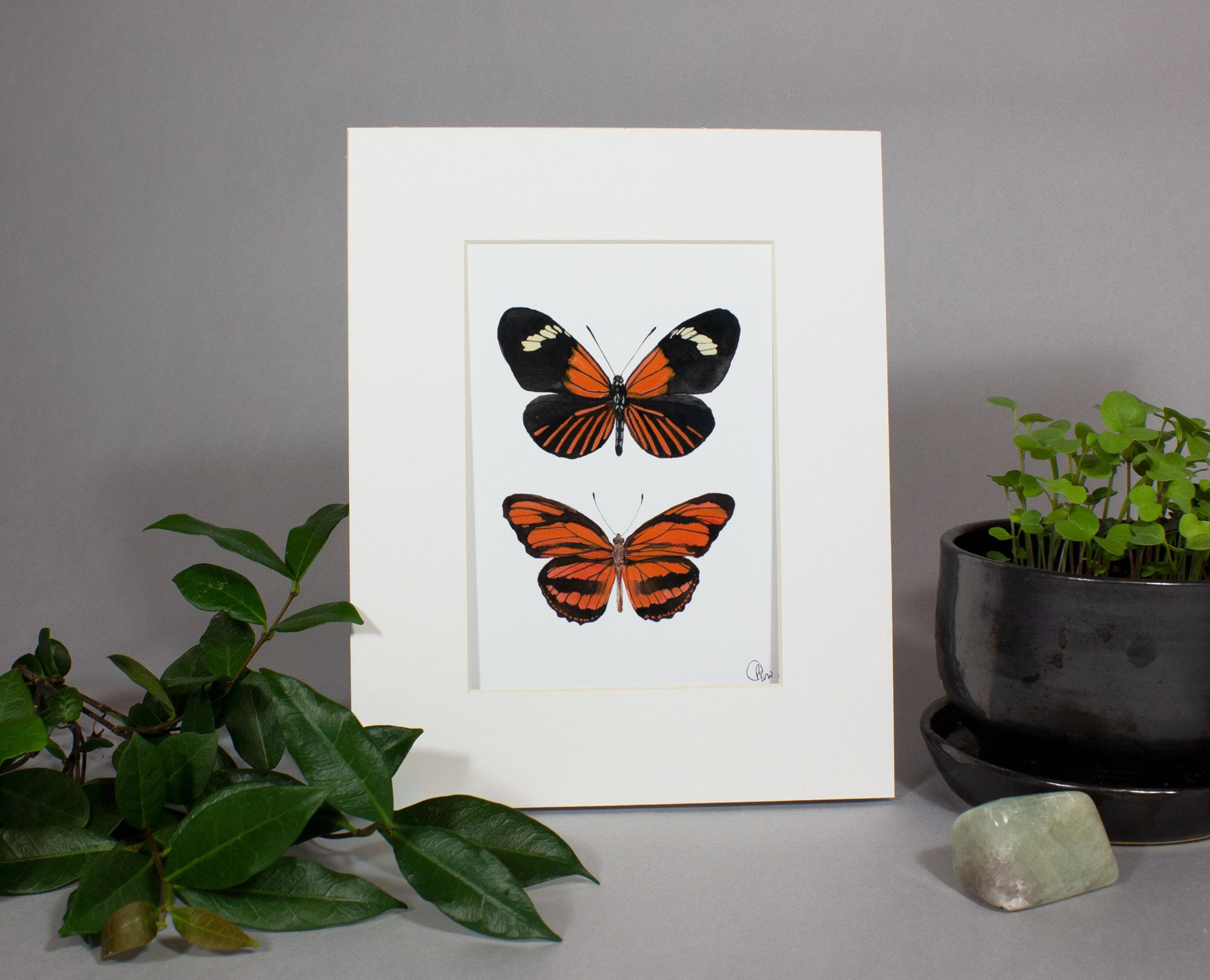Framed insect paintings and art prints — Otterwell Studio