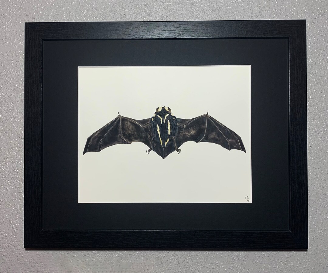 Pied Butterfly Bat Watercolor Painting, Framed Wildlife Art Print - Etsy