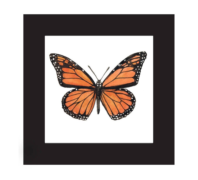 Monarch Butterfly Painting, Texas State Insect, Butterfly Mount Art ...