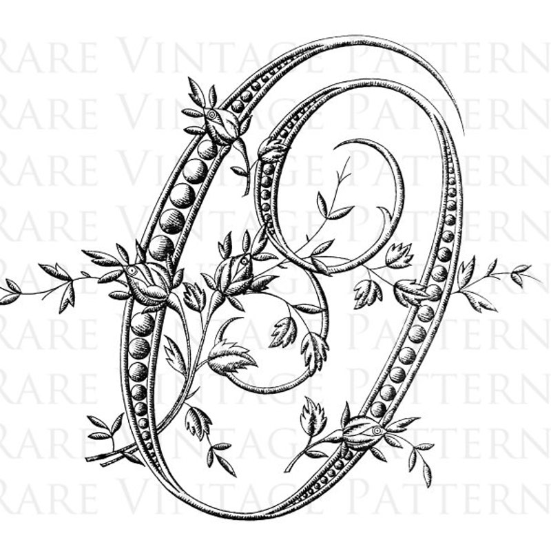 CalligraphyAlphabet - Etsy