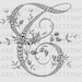 FRENCH ALPHABET STENCIL Large Letter - T - Monogram Initial Png ...