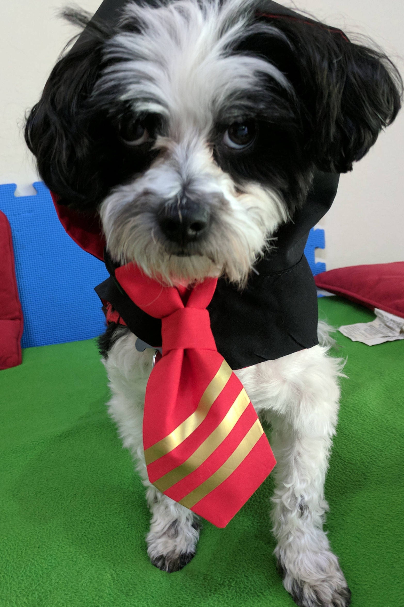 Lord Voldemort With A Puppy