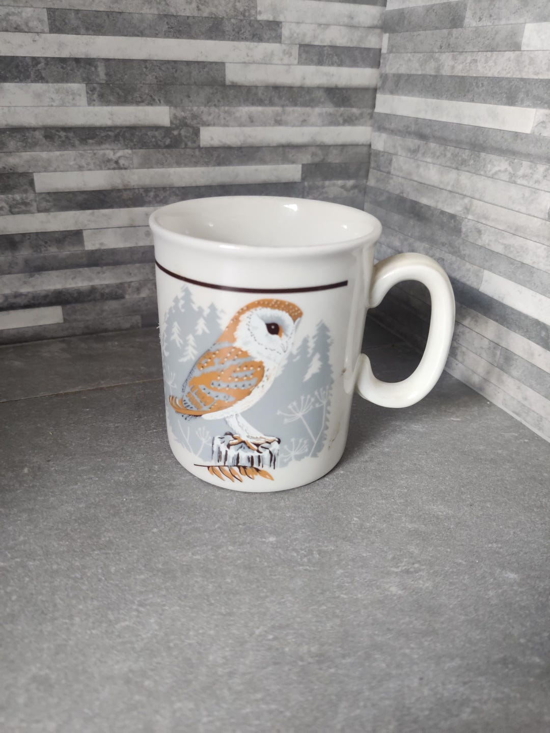 Vintage RSPB Barn Owl Bird Ceramic Mug Made in England - Etsy UK