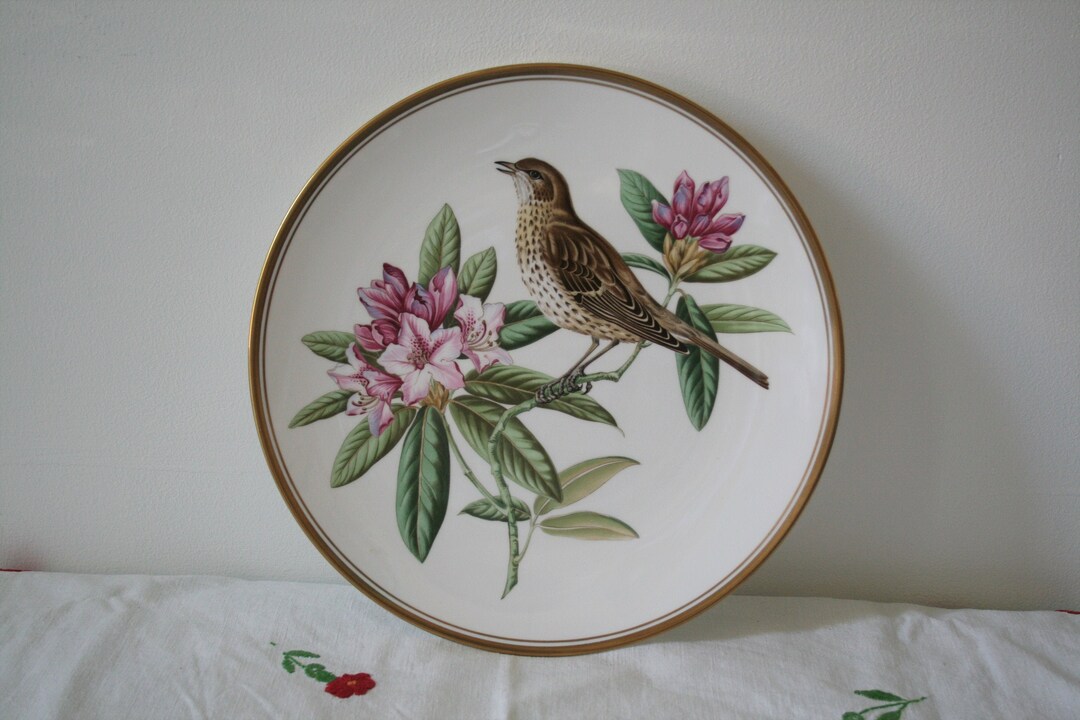 Garden Birds by Spode Collectible Plate Mistle Thrush - Etsy
