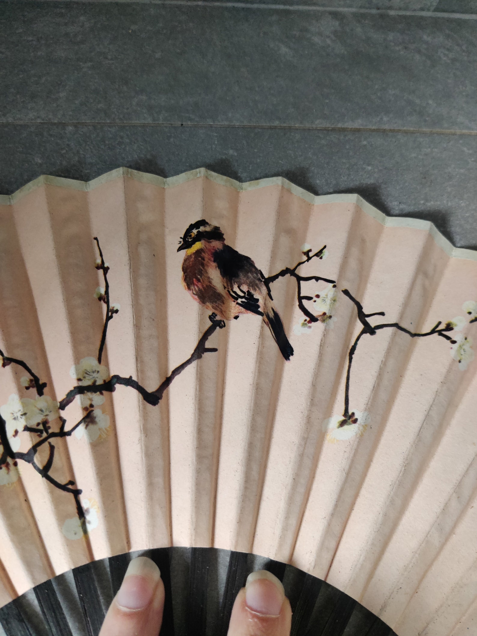 Wooden Hand Fan, Hand Fan, Vintage Fan, Evening Fan, Purse Fan, Folding ...