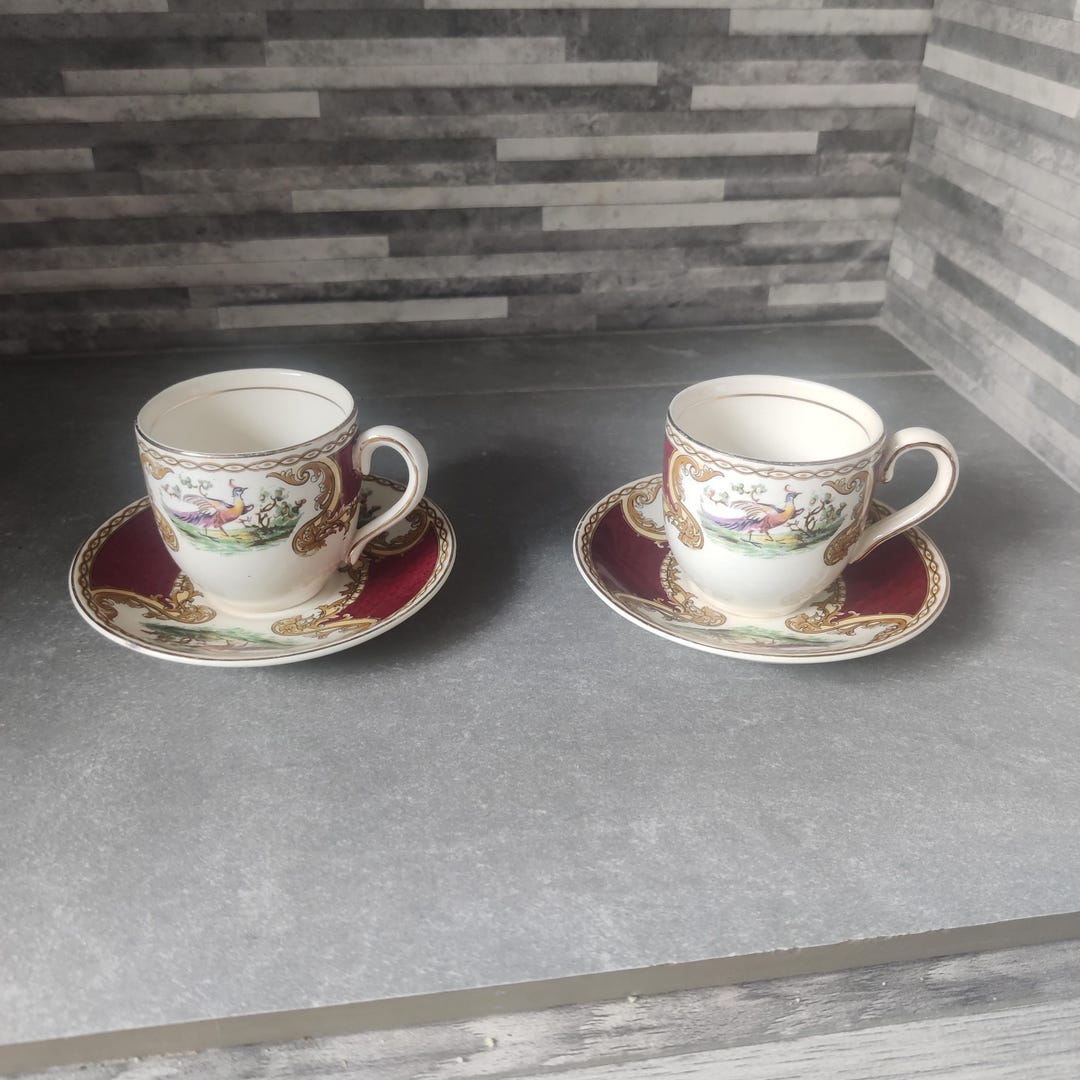 Myott Chelsea Bird Coffee Cups and Saucers - Set of 2 - Etsy