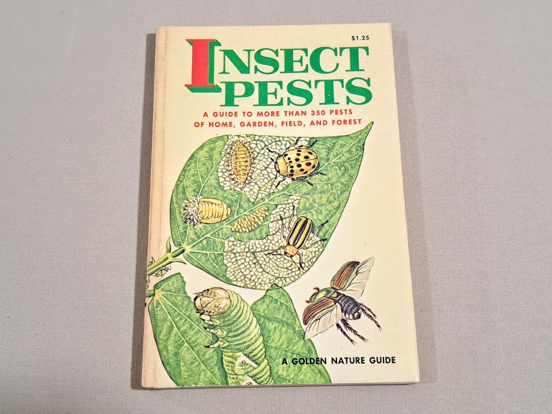 Vintage 60's Golden Nature Guide, insect Pests by George S. Fichter and ...