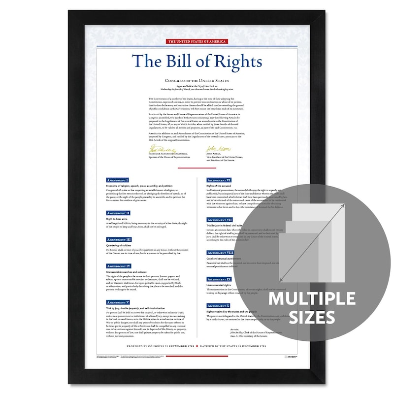 Bill of Rights Poster - Etsy