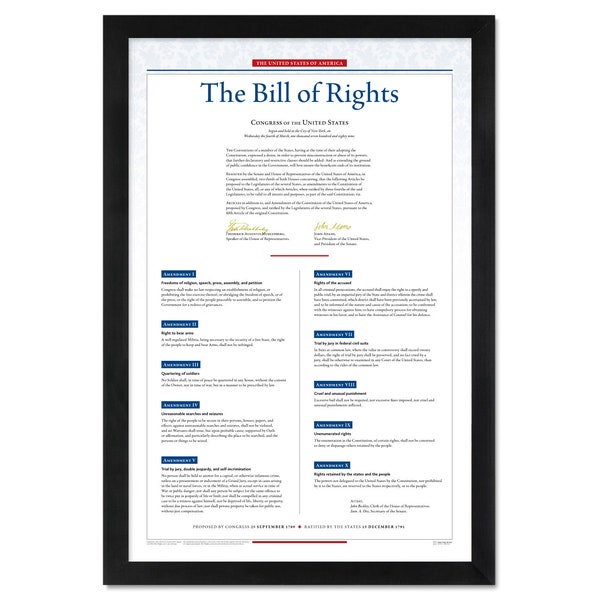 Bill of Rights Poster - Etsy