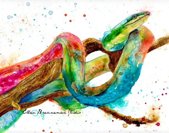 Colorful snake reptile art print by Ellen Brenneman | Etsy