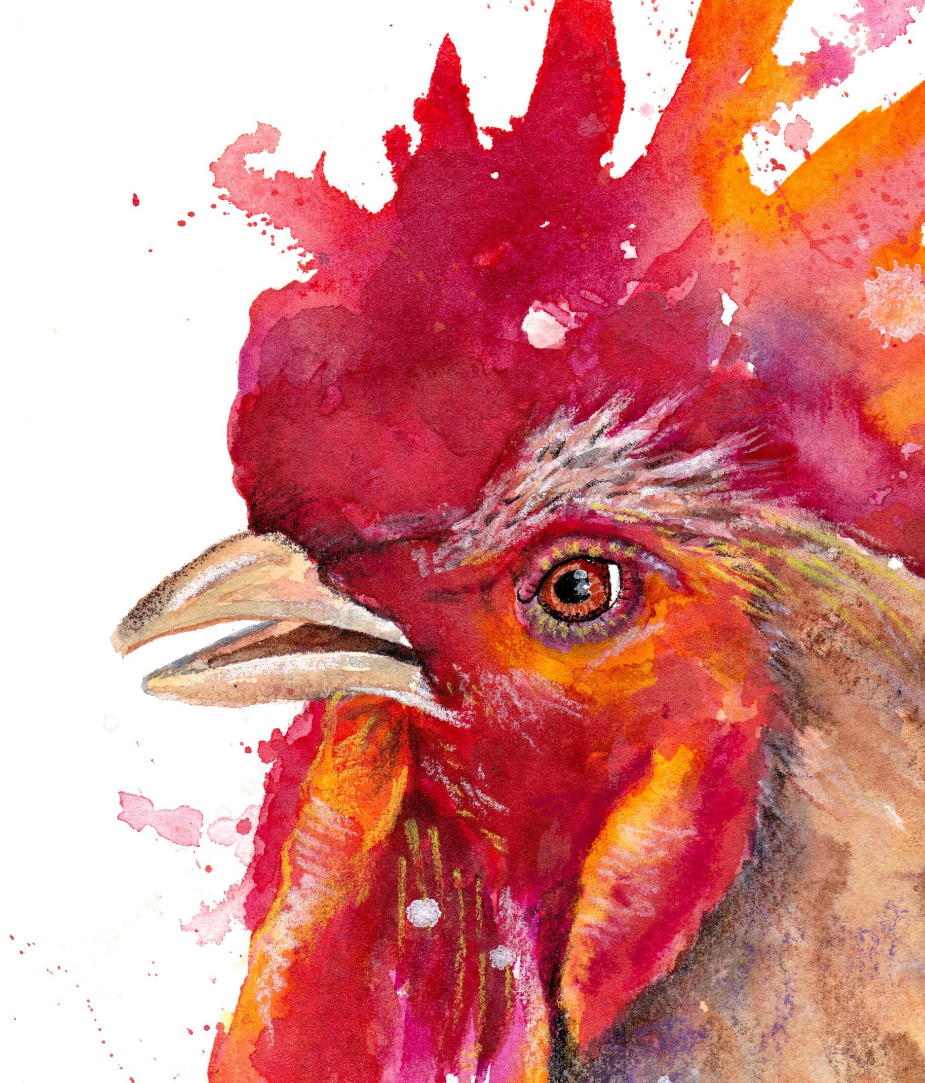 Rooster watercolor art print by Ellen Brenneman | Etsy