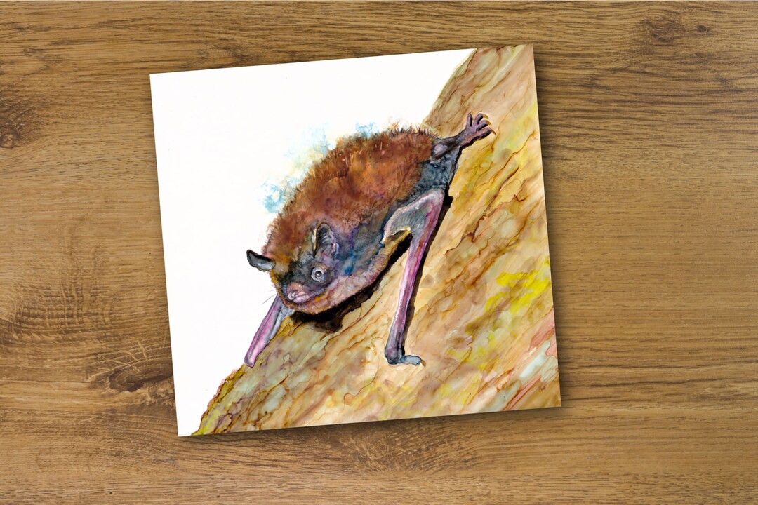 Bat Art Print Indiana Bat Watercolor Cute Bat Nursery Print - Etsy