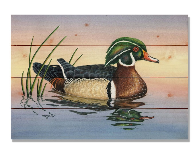 Duck Print / Wood Pallet Wall Art / Rustic Home Decor / Duck - Etsy