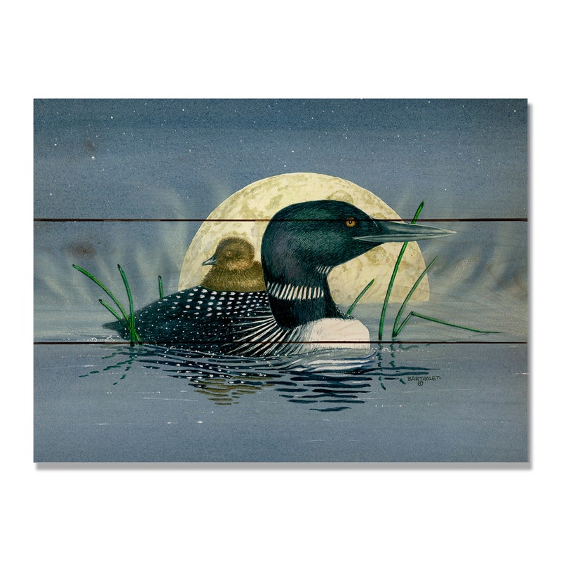 Loon Painting - Etsy