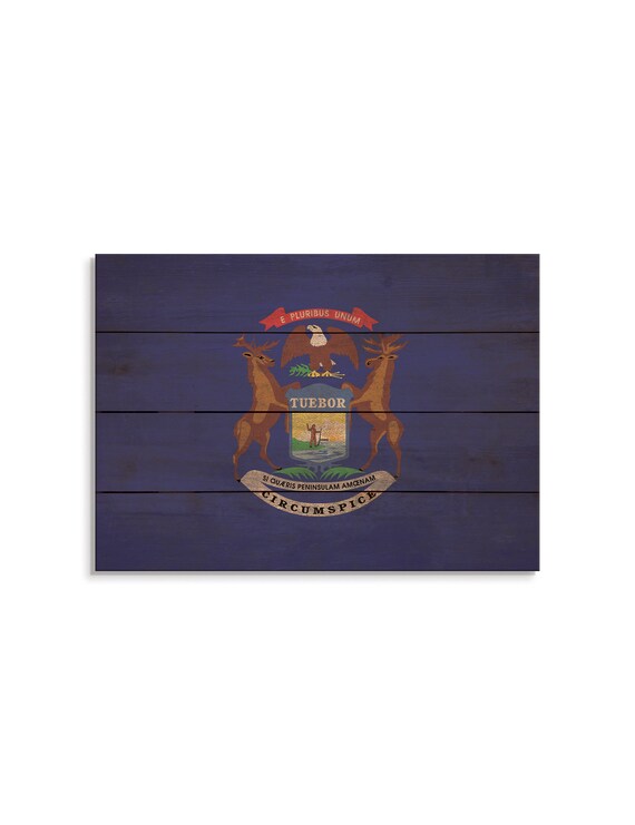 Michigan State Flag On Wood Pallet / Michigan Flag Print / | Etsy