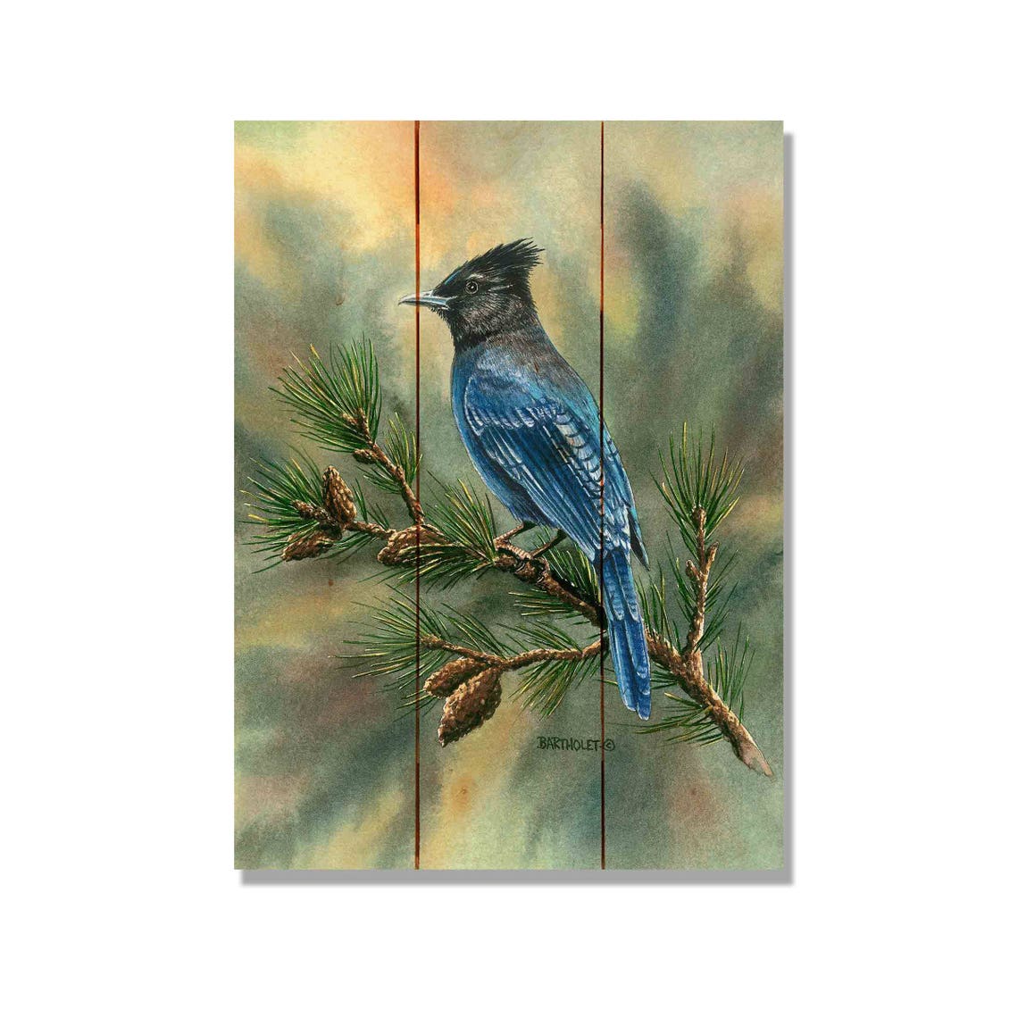 Steller's Jay / Art Print on Wood / Wood Wall Art / Pallet - Etsy