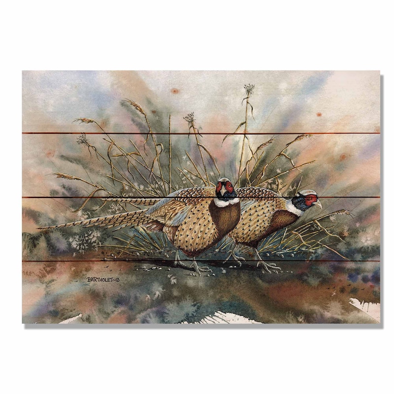 Pheasant Decor - Etsy