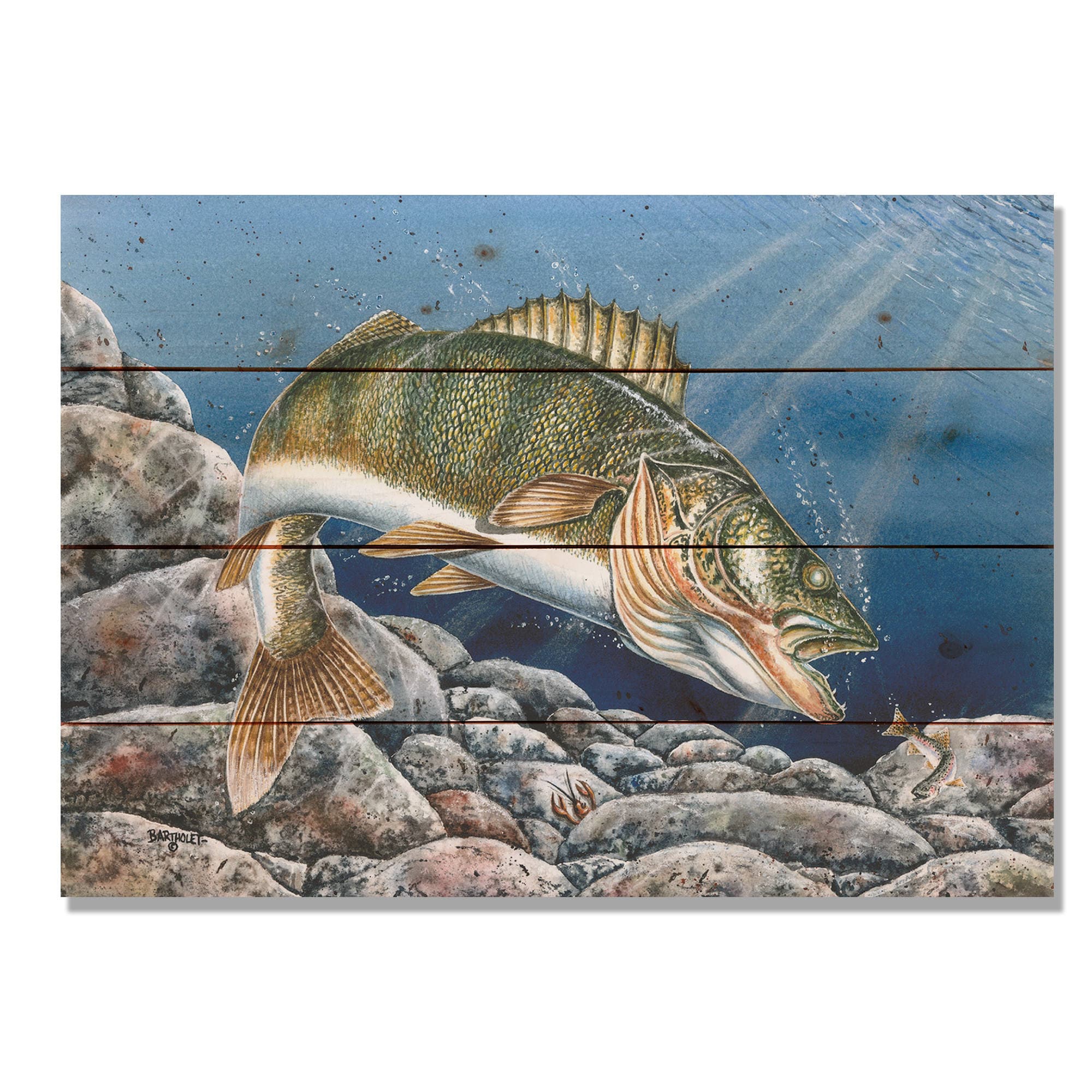 Walleye Art