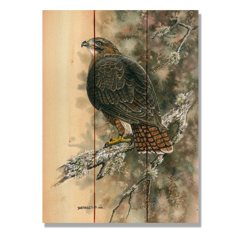 Red Tailed Hawk / Art Print on Wood / Wood Wall Art / Pallet - Etsy