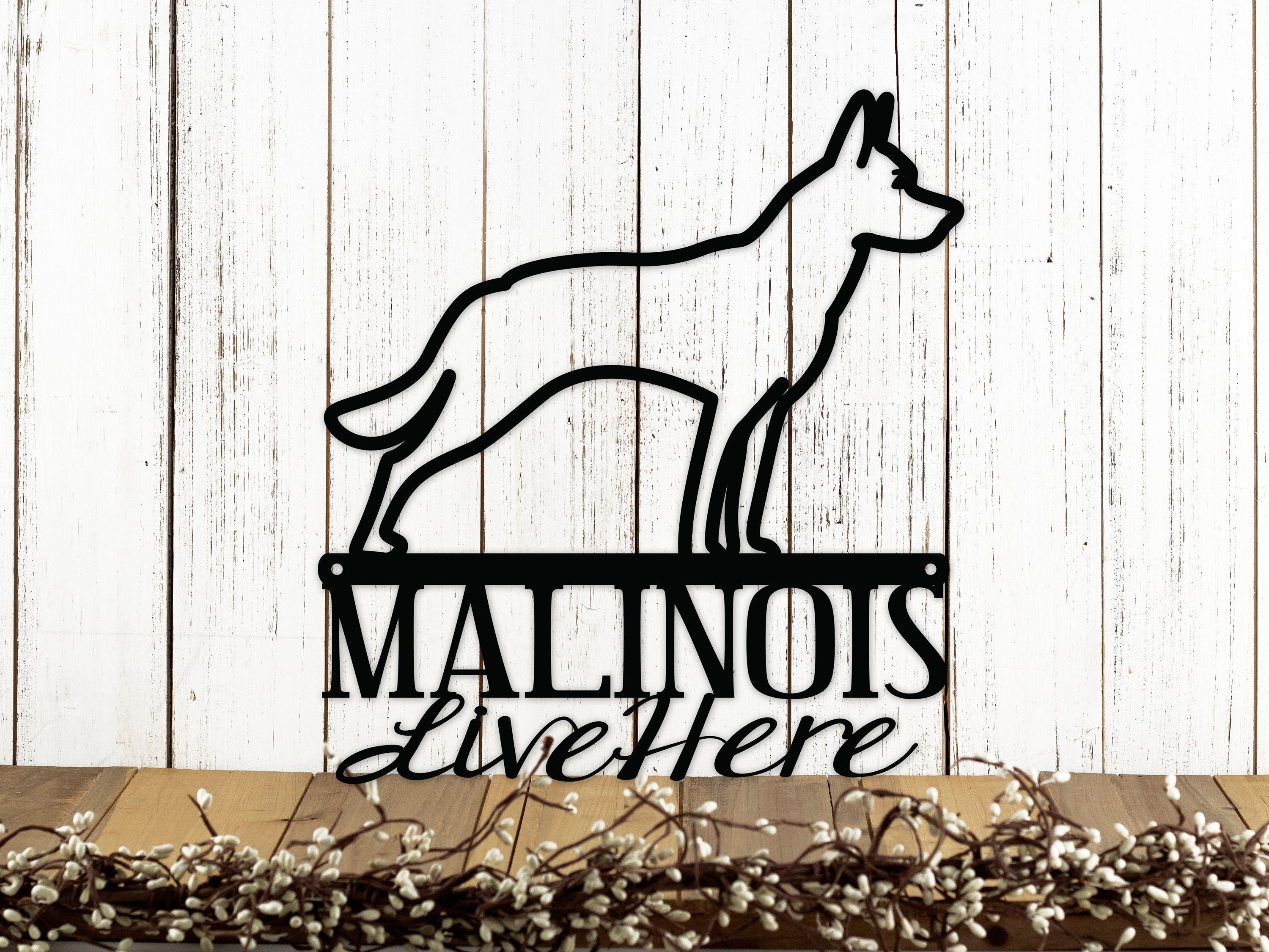 Belgian Malinois Lives Here Metal Sign 11.25x12 Malinois - Etsy